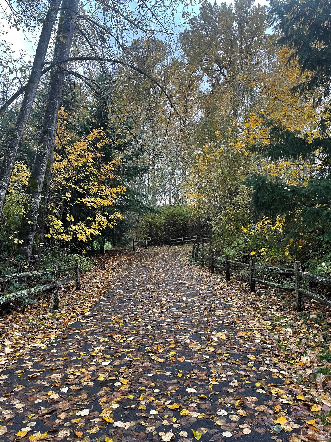 The Call of Fall – tadpolejourneys